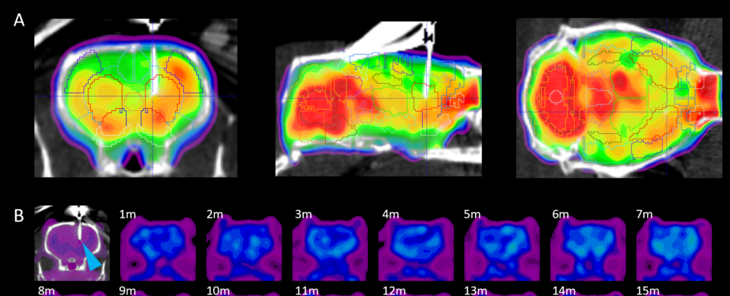 Mapping whole brain effects of infrared neural stimulation with ...